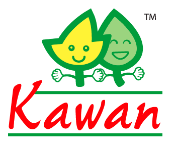 Kawan Chile - Cocina Asiática – KawanFoods